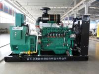 China 350kw 500kw Natural Gas Generator Used as Prime Power for sale
