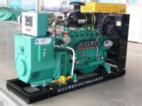 China 50kVA 100kVA Biogas Natural Gas Generator Set for Sale for sale