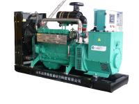 China 100kw 200kw Natural Gas Generator Biogas Generator for sale