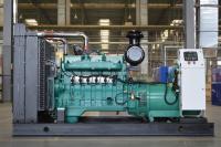 China CNG LNG gas generator natural gas generator 300kw for sale