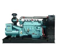 China Factory directly sale CNG natural gas generator 20KW for sale