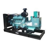 China Factory directly sale CNG natural gas generator 30kVA for sale for sale