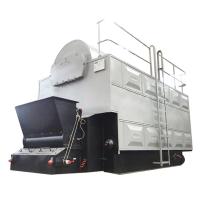 China Energy Saving Coal Biomass Fired Steam Boiler for Food Industry for sale