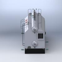 China 10 Ton Packaged Biomass Fired Boiler Horizontal Style Automatic for sale