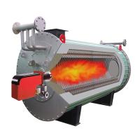 China EPCB Thermal Oil Boiler Diesel Oil / Natural Gas Fired For Food Factory for sale