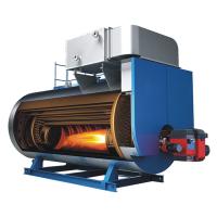 China 10 Ton Automatic Horizontal Industrial Steam Boiler Gas Oil Fired Rice Mill Use for sale