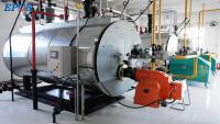China 10 Ton Automatic Horizontal Industrial Steam Boiler Gas Oil Fired Rice Mill Use for sale