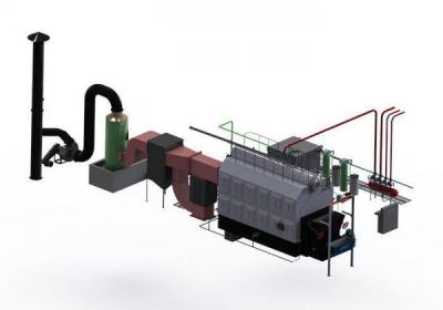 China Double Drums Chain Grate Steam Tube Boiler 3 Pass Water Tube Boiler for sale