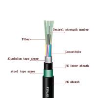 China GYTA53 Armored Fiber Optic Cable 12 48 Core Outdoor Direct Buried Duct Aerial Rodent Resistant for sale