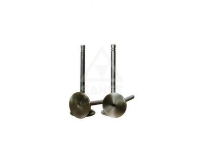 China 3066 Intake And Exhaust Valves S6K Diesel Engine Parts For CAT320C Excavator for sale