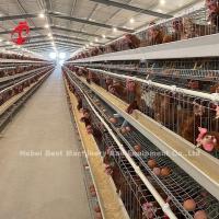 China High Resilience Layer Cage System Hot Galvanized Low Carbon Steel In Africa Adela for sale