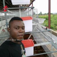 China High Resilience Layer Cage System Hot Galvanized Low Carbon Steel In Africa Adela for sale