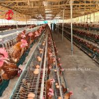 China 3 Tier Or 4 Tier Poultry Battery Cage System For Layers Iris for sale