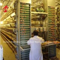 China A H Type Full Automatic Chicken Battery Cage System With 25 Years Lifespan Star for sale