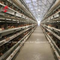 China A H Type Full Automatic Chicken Battery Cage System With 25 Years Lifespan Star for sale