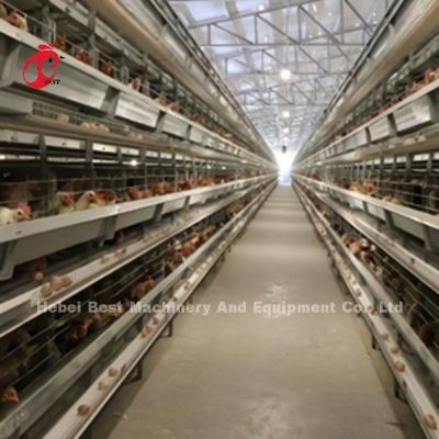 China A H Type Full Automatic Chicken Battery Cage System With 25 Years Lifespan Star for sale