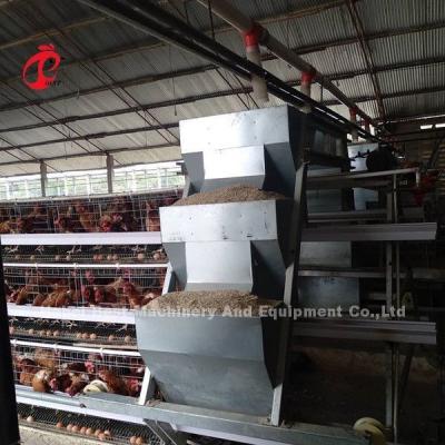 China Egg Laying Chicken 96 Birds Broiler Battery Cage System Durable Corrosion Resistance Emily for sale