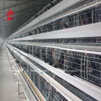 China Hot Galvanized A Type Automatic Drinking System Layer Cage In Farm Adela for sale