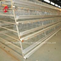 China 4 Tiers A Type Layer Cage System Automatic Drinking And Feeding Hot Galvanized Adela for sale
