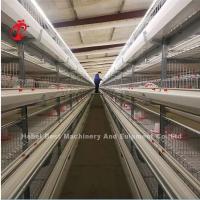 China Chicken Layer Galvanized Poultry Battery Cage System Oxidation Resistance In Farm Mia for sale