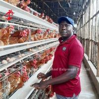 China Chicken Layer Galvanized Poultry Battery Cage System Oxidation Resistance In Farm Mia for sale