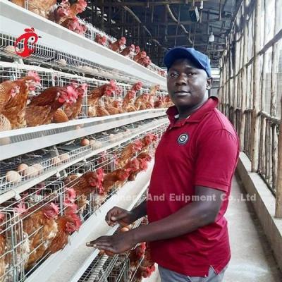 China Chicken Layer Galvanized Poultry Battery Cage System Oxidation Resistance In Farm Mia for sale