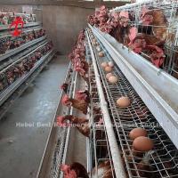 China Layer Farming Use 2 Tier Battery Cage Poultry House Hot Dip Galvanized Sandy for sale