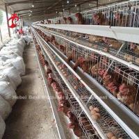 China Chicken A And H Automatic Battery Cage System For Poultry Farming Breeding Sandy for sale