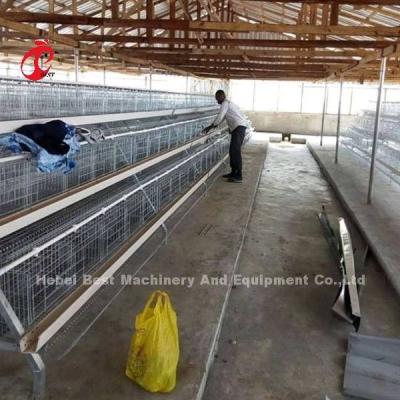 China Chicken A And H Automatic Battery Cage System For Poultry Farming Breeding Sandy for sale