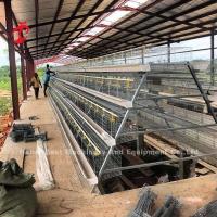 China Cage Wire Diameter 2.8mm-3.5mm Layer Farming Cage System With Automatic Drinking System Adela for sale