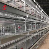 China 96 Birds Poultry Battery Cage System Broiler Automatic Egg Hens A Type Rose for sale