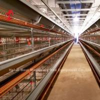 China Automatic Layer Egg Collection A Type Chicken Cage For Poultry Farm Rose for sale