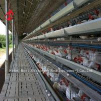 China A Or H Type Layer Battery Cage System For 1000 To 20000 Birds Poultry Farm Iris for sale