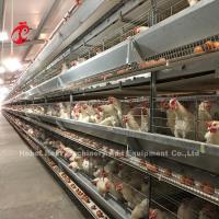 China Galvanized A Type 120 Chicken Layer Battery Cage System Multilayer Doris for sale