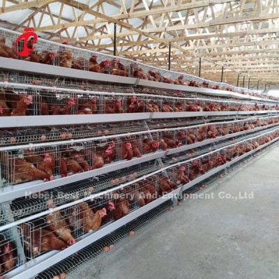 China Galvanized A Type 120 Chicken Layer Battery Cage System Multilayer Doris for sale