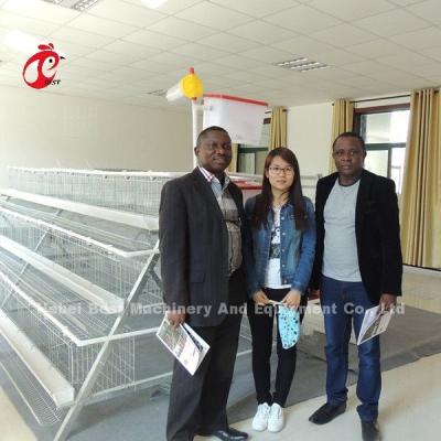 China 500 To 30000 Birds Layer Battery Cage System For Poultry Farming Star for sale