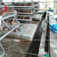 China Auto Three Phases Poultry Manure Scraper Machine Remove Chicken Waste Sandy for sale
