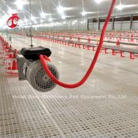 China Stainless Steel Floor Type Poultry Farm Equipment Automatic Feeding And Drinking System Adela for sale