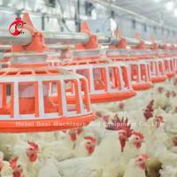 China Broiler Poultry Farming 45 Chicken Feeding Line Drinking Line Automatic Equipment Rose for sale