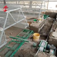 China Automatic 380v Manure Removal Equipment Poultry Chicken House Floor Scraper Ada for sale