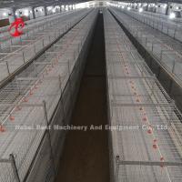 China 45 Days A H Type Broiler Cage 25 Years Lifespan With Drinkers And Feeders Star for sale