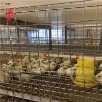 China Automatic 4 Tiers H type Broiler Chicken Cage For Meat Chicken Farm Ada for sale