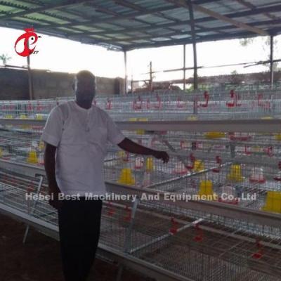 China High Resilience H Type Broiler Cage Hot Galvanized Low Carbon Steel Adela for sale