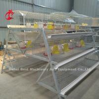 China Q235 A Type 3 Tiers Pullet Chicken Cage Silver Galvanized Adela for sale