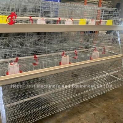 China Q235 A Type 3 Tiers Pullet Chicken Cage Silver Galvanized Adela for sale