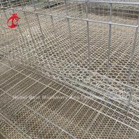China Galvanized A Or H Type Broiler Chicken Cage For One Day Old To Adult Chicken Doris for sale