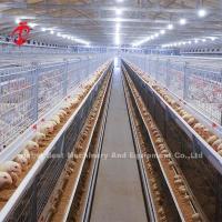 China Galvanized A Or H Type Broiler Chicken Cage For One Day Old To Adult Chicken Doris for sale