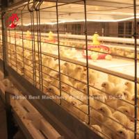 China Poultry Farm Automatic Baby Broiler Battery Cage System Rose for sale