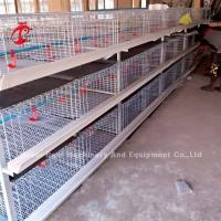 China A And H Poultry Broiler Cage Raising Equipment For Day Old Chicks Sandy for sale