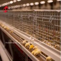 China Galvanized 120 Capacity Brooder Chicken Cage Rearing Day Old Layer Chicks Iris for sale